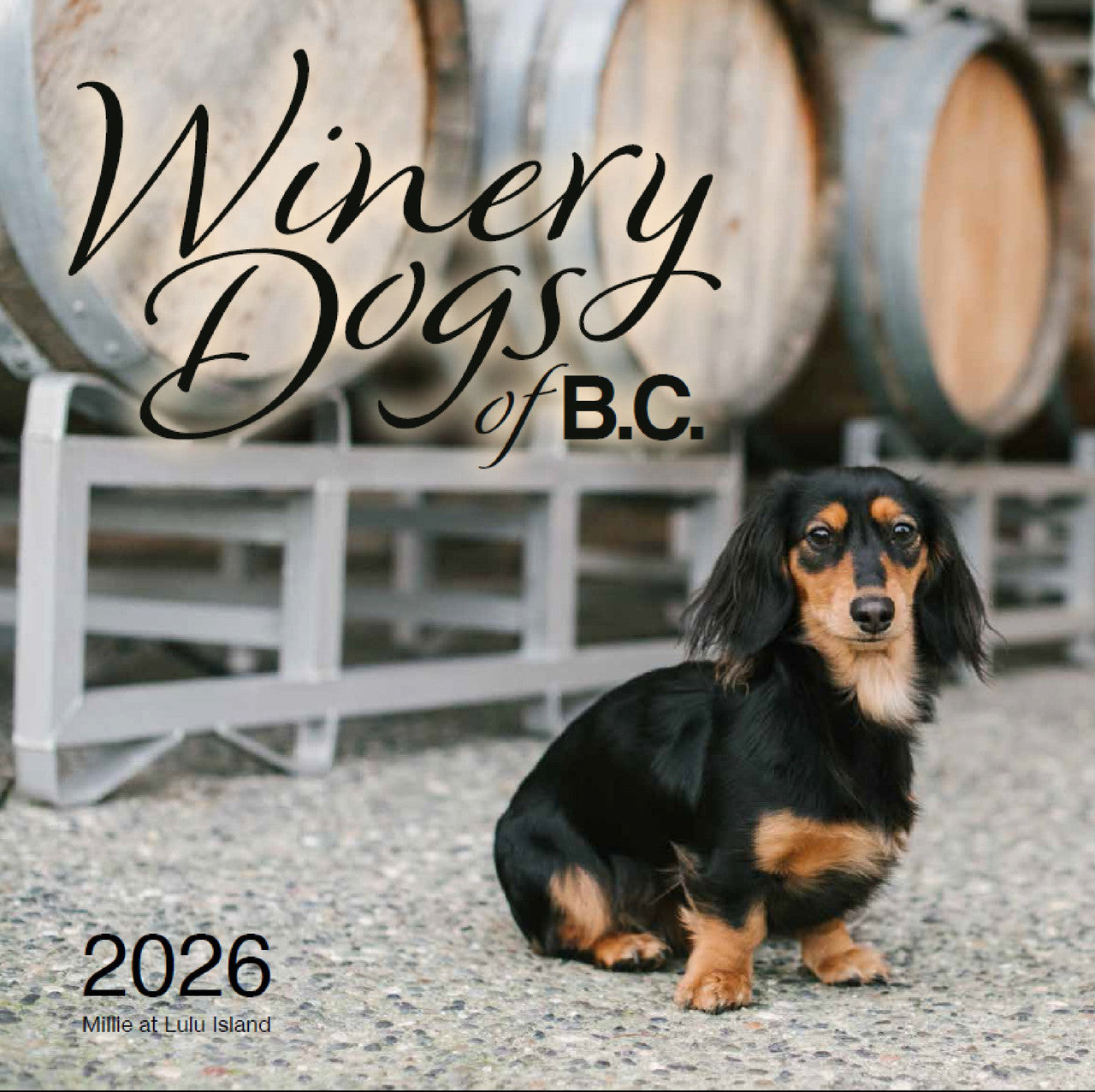 Winery Dogs Calendar 2026 – Mayhem Wines